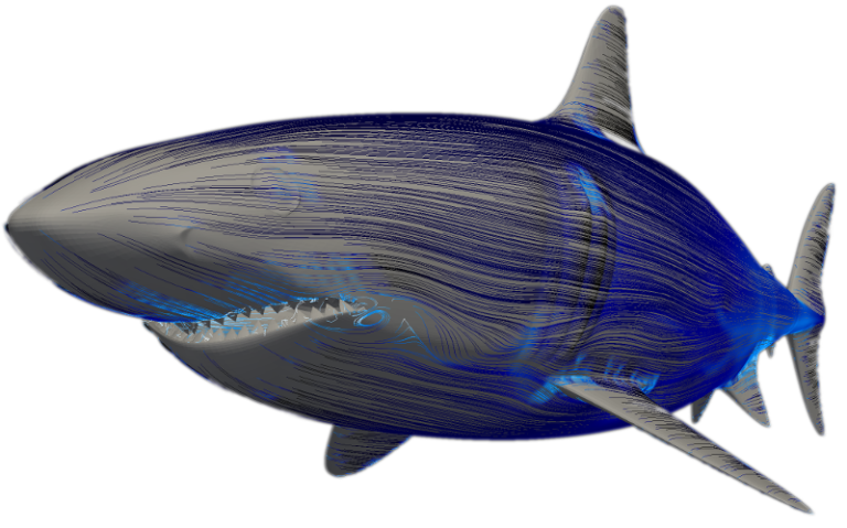 shark_surface_streams - MantiumFlow, CFD Simulation Software with OpenFOAM